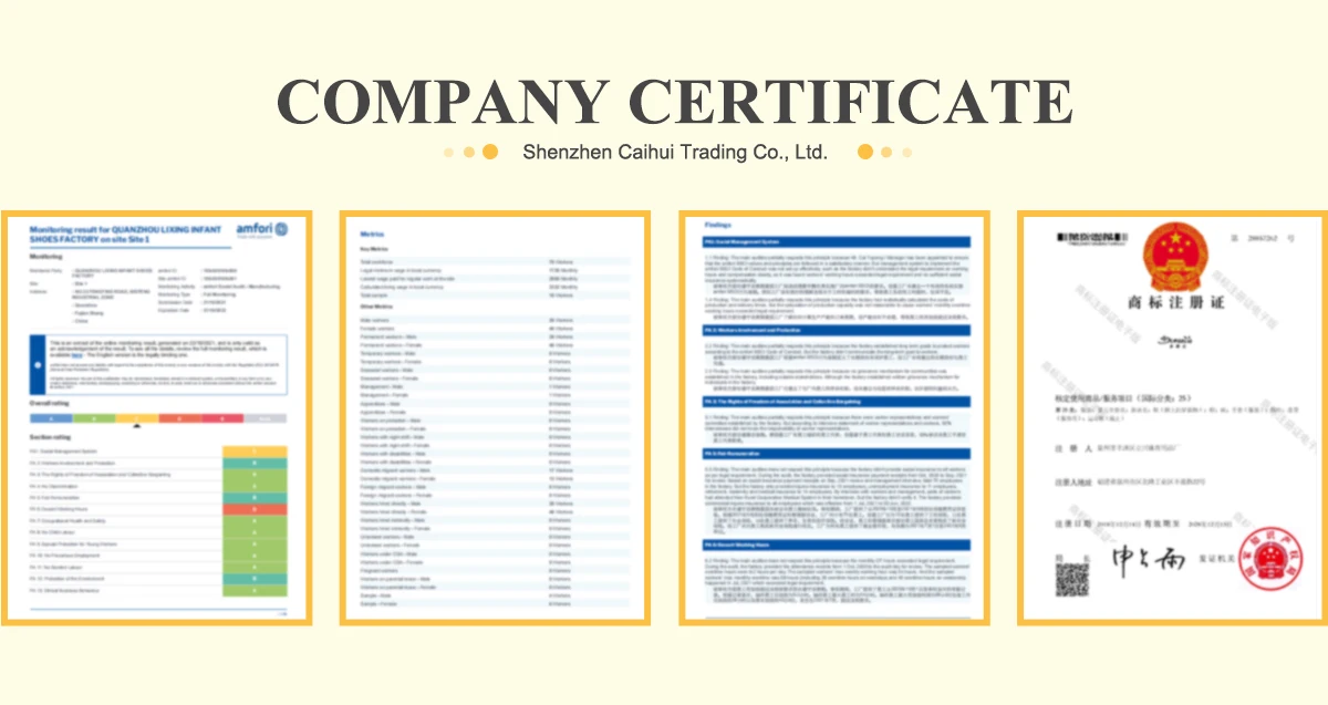 Company Overview - Shenzhen Caihui Trading Co., Ltd.