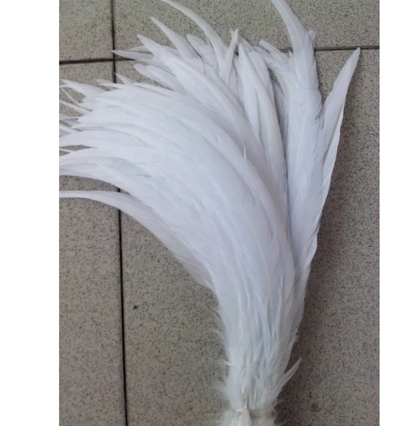 China Factory Wholesale 10-12 Inch White Rooster Tail Feathers - Buy ...