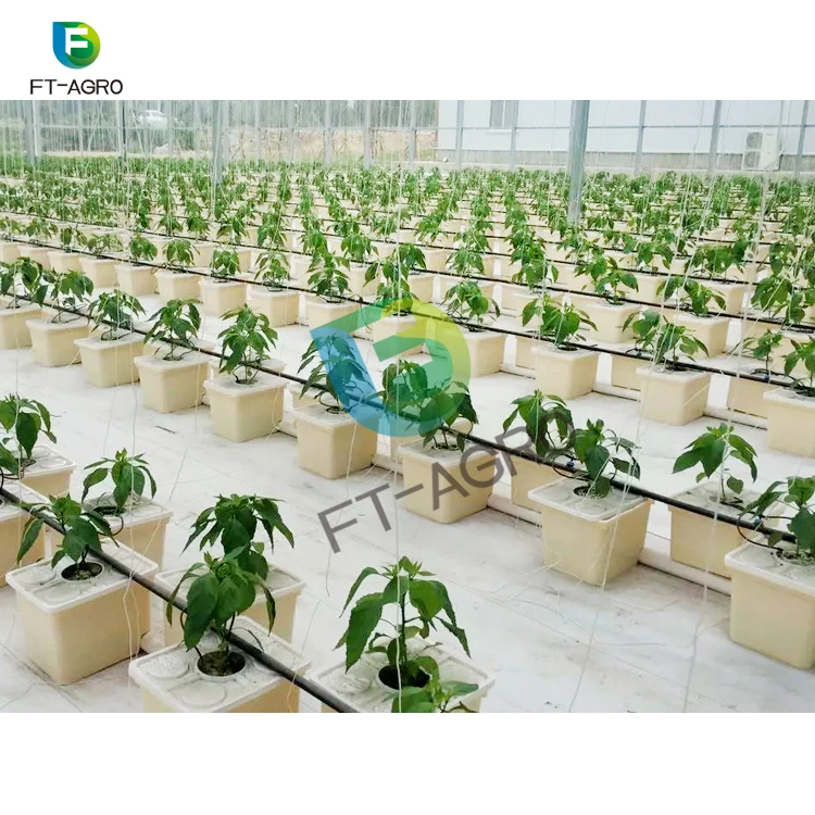 Agricultural Use Dutch Bucket Tomato Planting Hydroponic Growing System ...