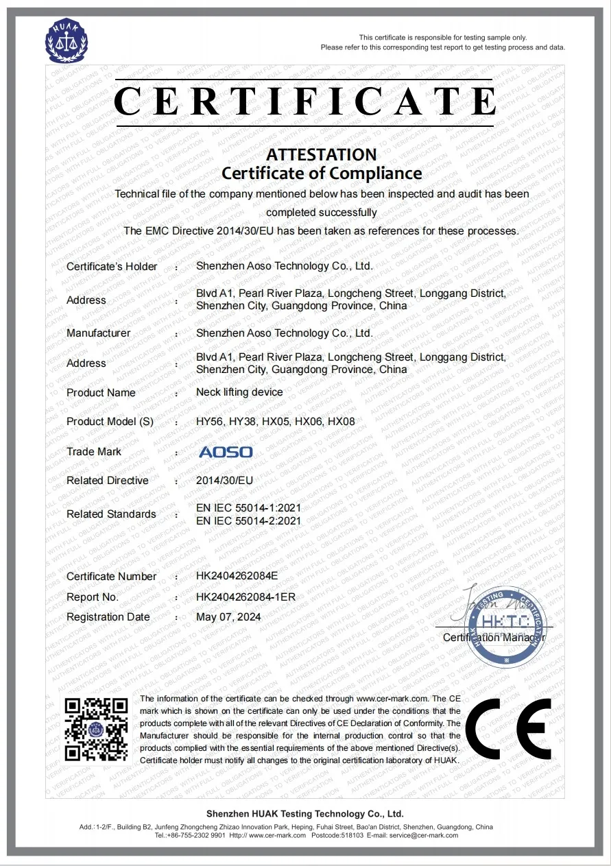 Company Overview - Shenzhen Aoso Technology Co., Ltd.