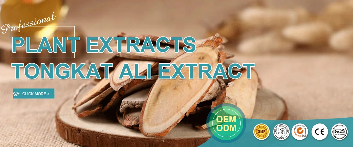 Company Overview - Hunan Nanmo Biotechnology Co., Ltd.