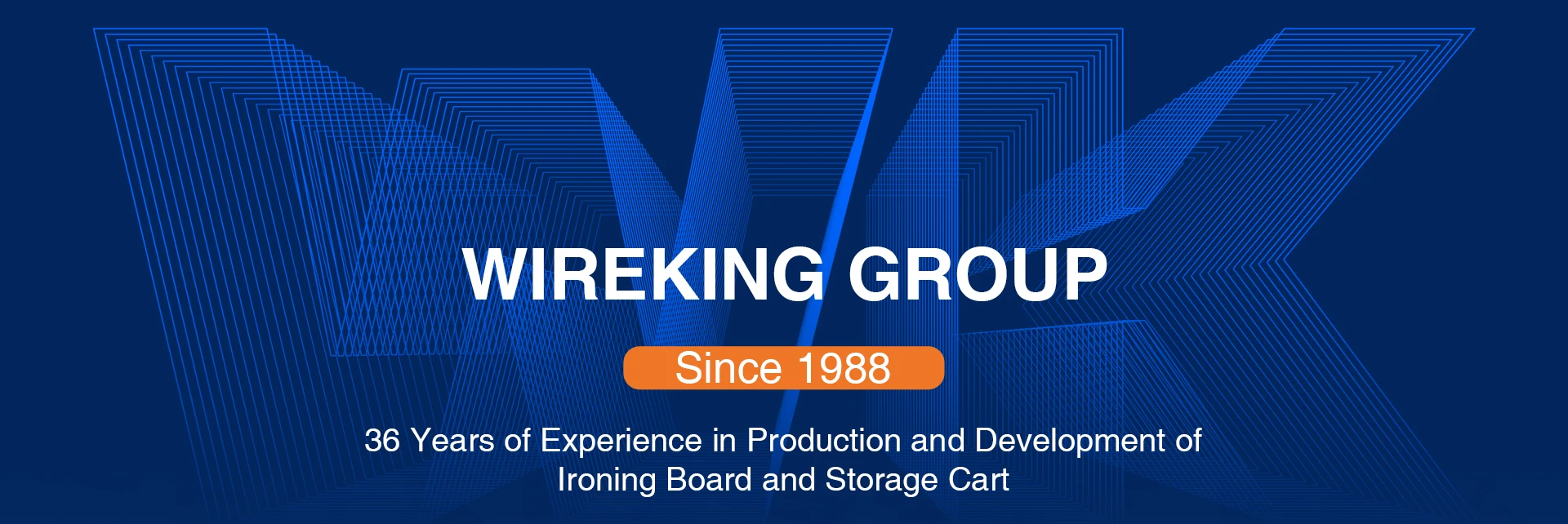 Company Overview - Guangdong Wireking Household Supplies Co., Ltd.