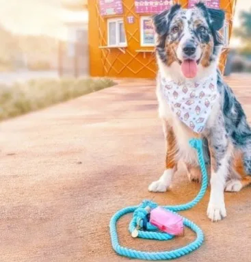 Fake Dog Poop Doggie Poop Realistic Doggy Doo Doo Dirt Joke Gag Crap ...