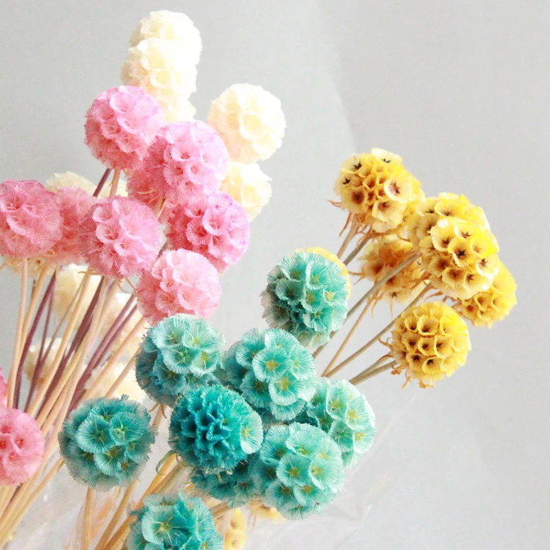 Preserved Gypsophila Bouquet - Baby's Breath Flowers