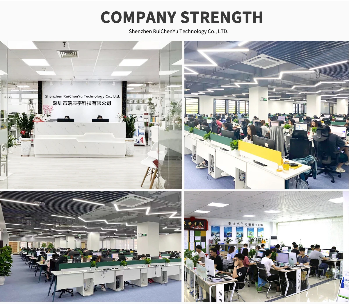 Shenzhen Ruichenyu Technology Co., Ltd. - Integrated Circuits, IGBT Modules