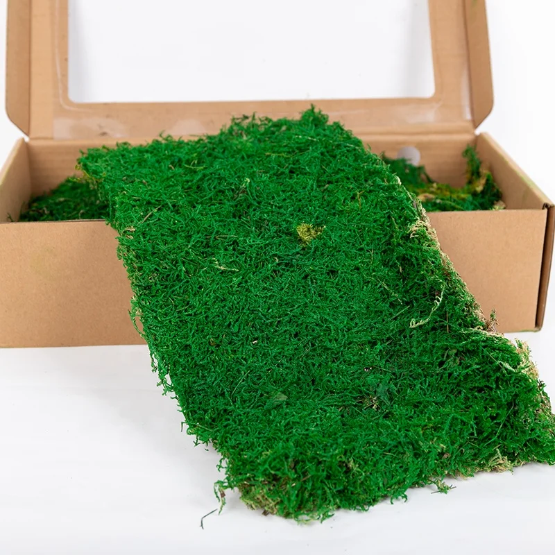 Fresh Real Natural Preserved Sheet Moss For Wall Decoration Buy fresh-real-natural-preserved-sheet-moss-for-wall-decoration-buy