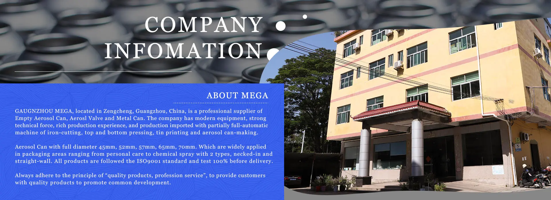 Guangzhou Mega Trading Co., Ltd. - aerosol cans, aluminium cans