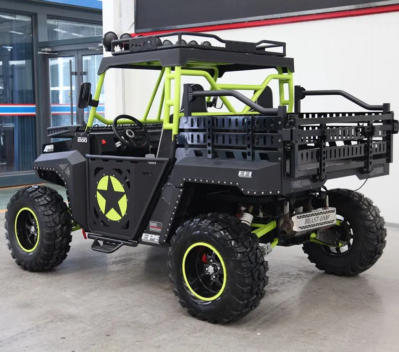 2 Seat Gasoline Buggy 1000cc UTV 4x4 - EPA Certified