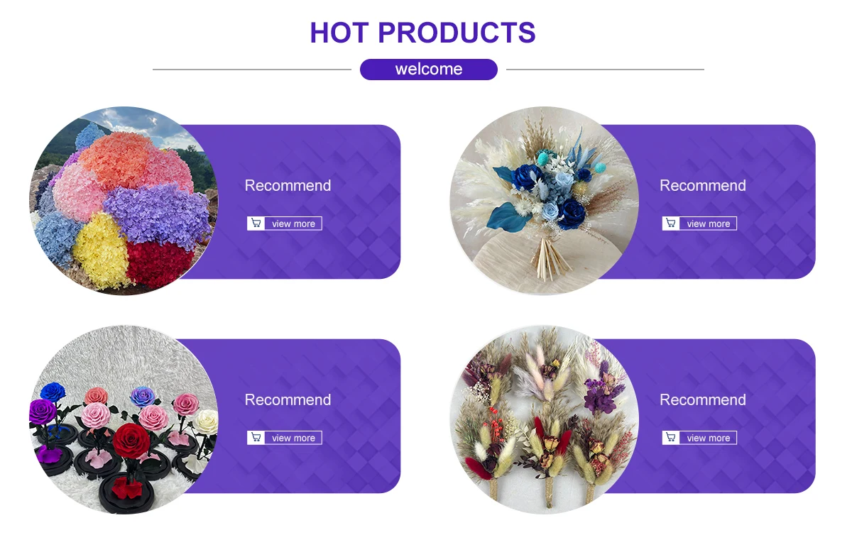 Company Overview - Yunnan Angel Flowers Co., Ltd.