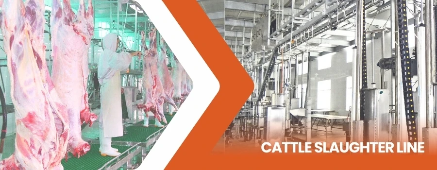 Company Overview - Shanghai One-Stop Engineering Co., Ltd.