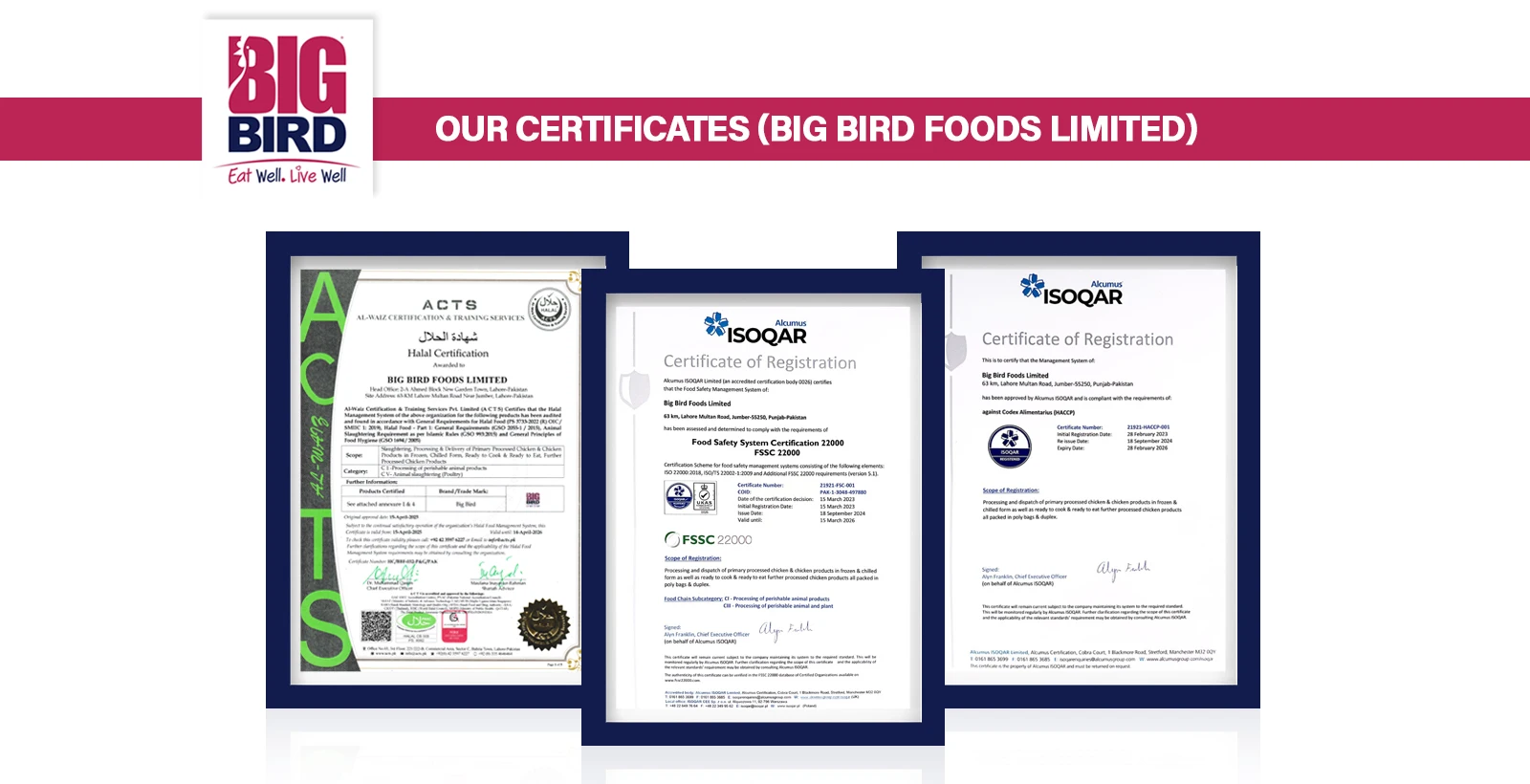 Company Overview - BIG BIRD FOODS LIMITED