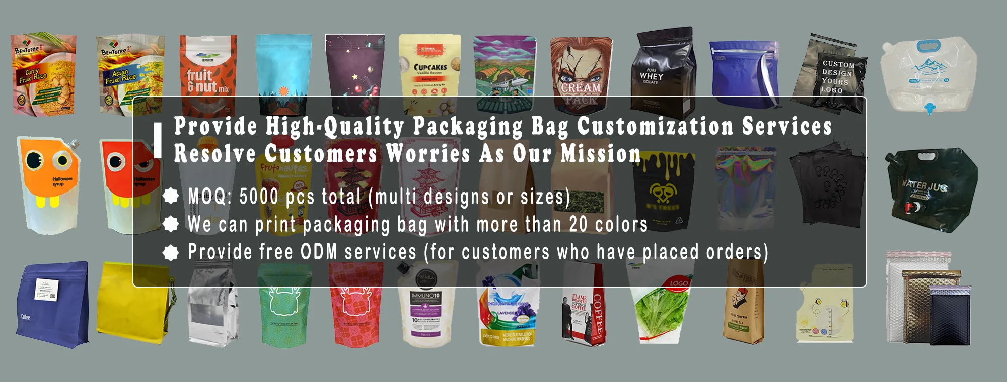 Company Overview - Huizhou Foraypack Co., Ltd.