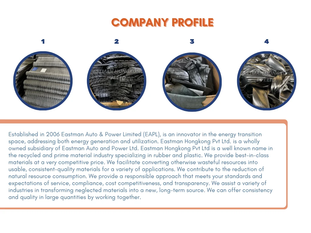 Company Overview - EASTMAN AUTO & POWER LIMITED