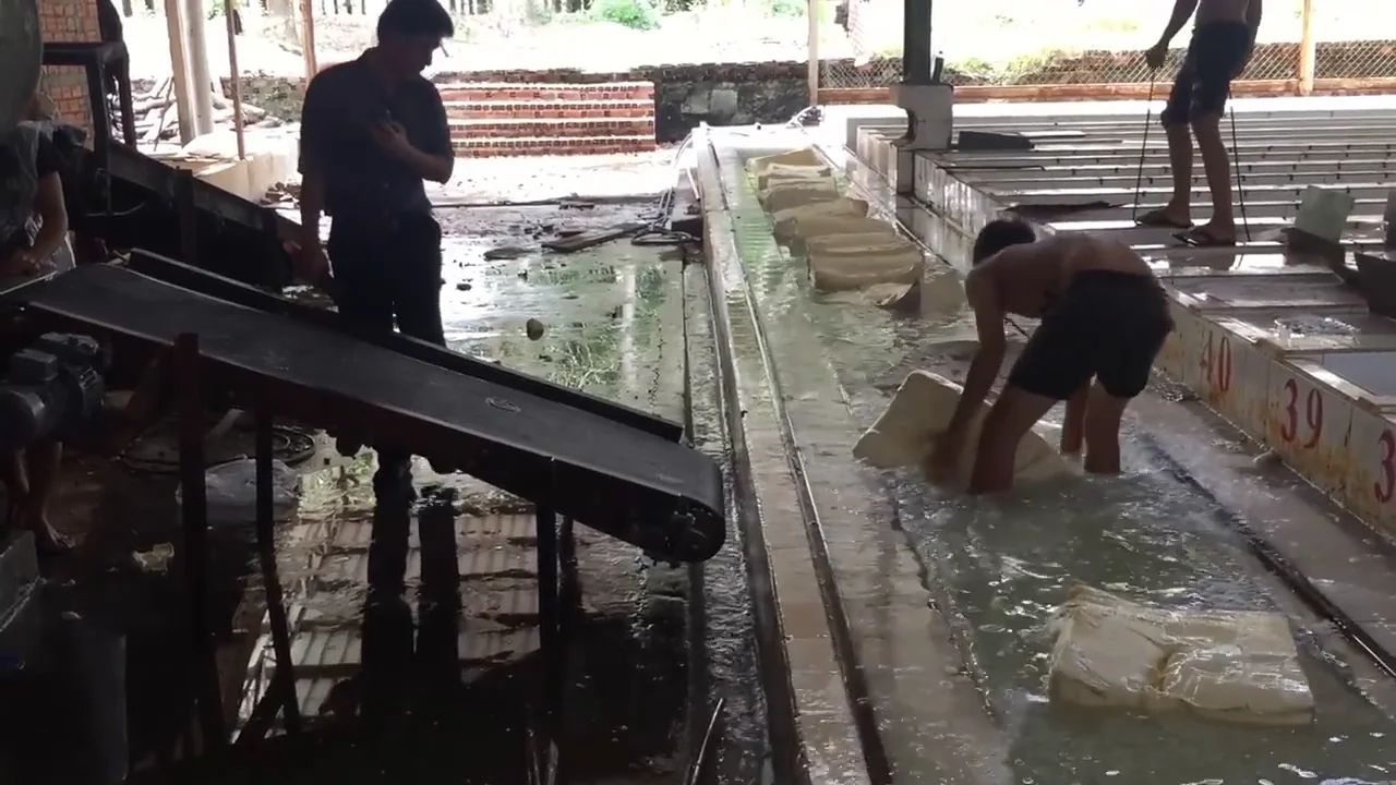 Natural Raw Rubber Rss1 - Buy Rss1 Rubber,Natural Rubber Rss1,Rubber ...