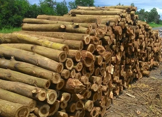 100% Wholesale Natural Solid Hard Acacia Wood Logs/timber/lumber From ...