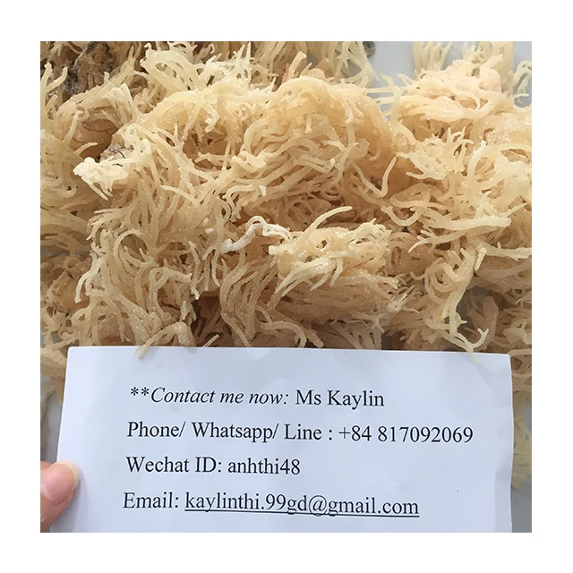 Bulk Quantity Dried Irish Sea Moss - Eucheuma Cottonii