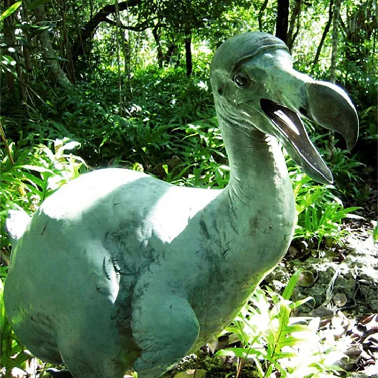 Life Size Garden Antique Bronze Dodo Bird Sculpture - Buy Sculptures ...