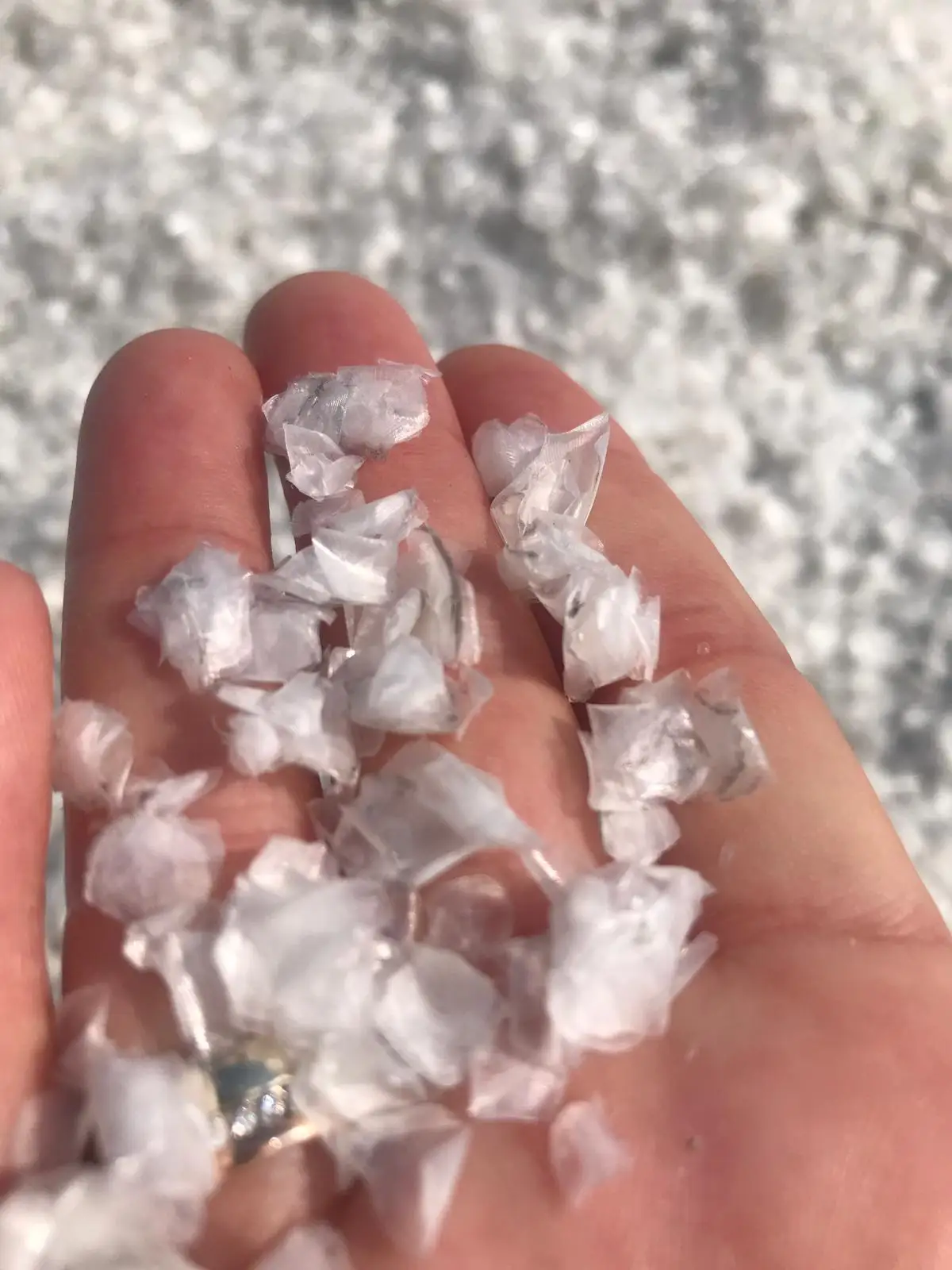 Top Quality Supper Sales Dried Fish Scales To Extract Gelatin Collagen ...