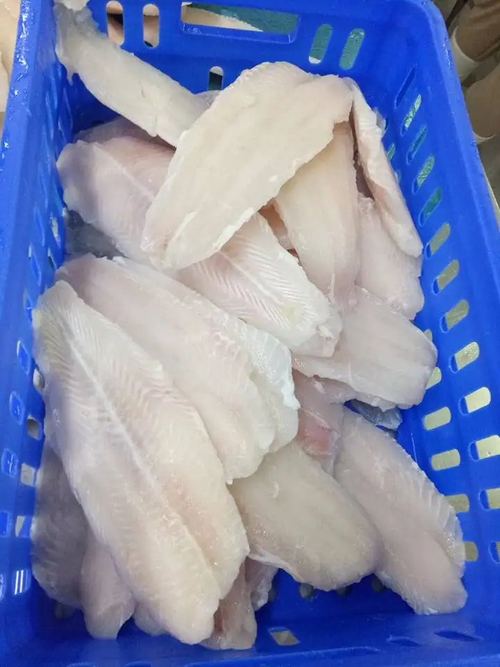 Frozen Pangasius Fillet/pangasius Fish High Quality From Vietnam - Buy ...