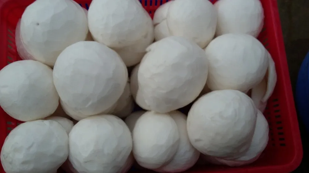 Coconut Meat In Chunk/peeled Young Coconut Meat/coconut Meat Dices ...