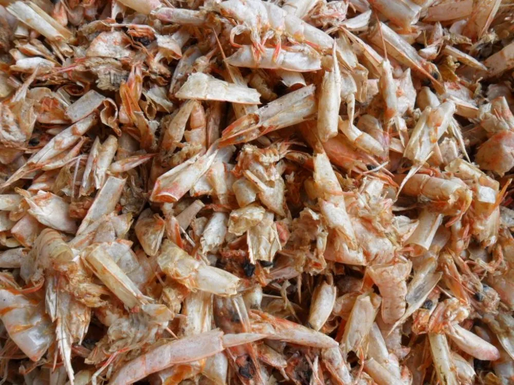HIGH PROTEIN and PURE CRAB/SHRIMP SHELL POWDER MADE in VIETNAM| Alibaba.com