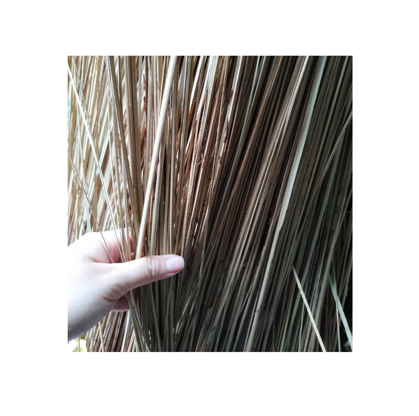 Palm Ekel BroomSticK -Coconut Leaf Stick for Cleaning Home- Coconut ...