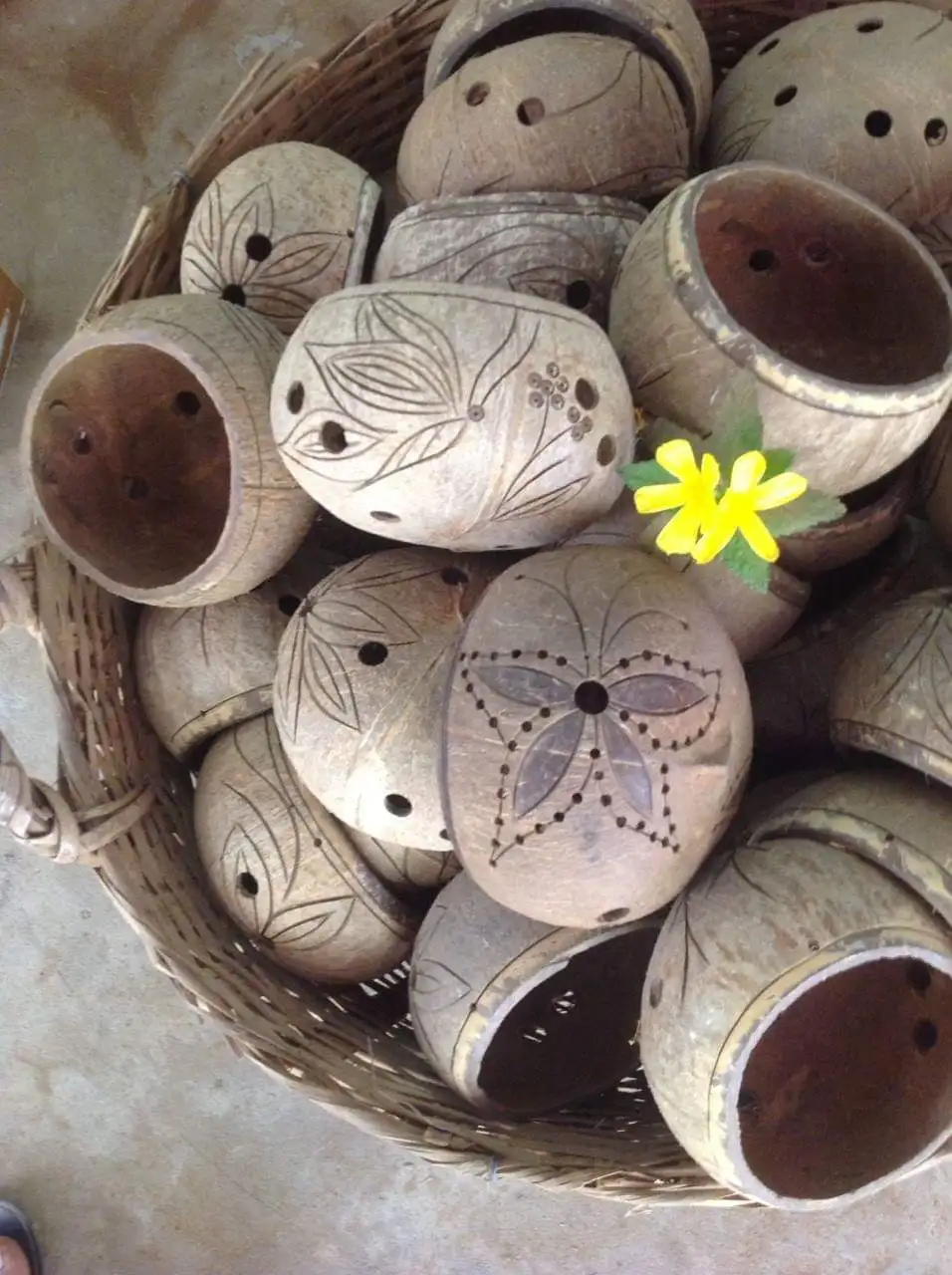 Coco Pot Coconut Fiber Planters - Biodegradable & Stylish