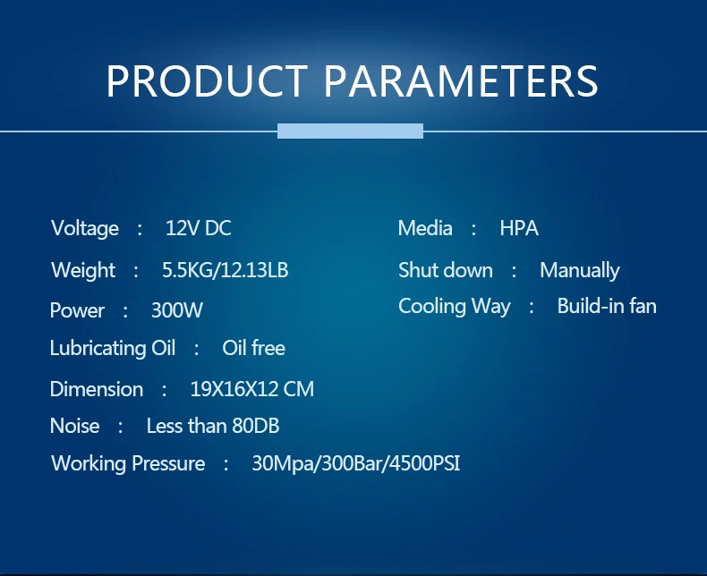 Acecare 12V / 110V / 220V Pcp Air Compressor Pcp Pump Pcp Air Rifle Car ...