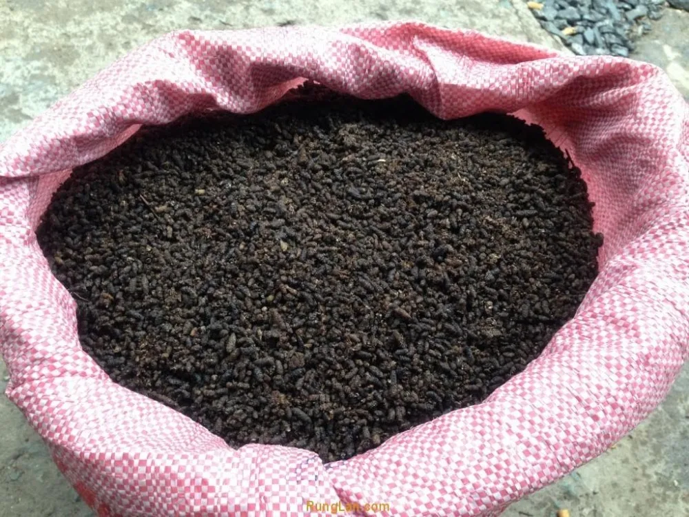 BAT GUANO MANURE - Premium Organic Fertilizer from Vietnam