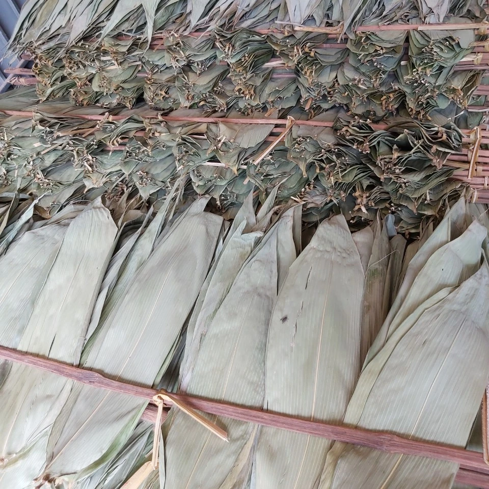 Dried Bamboo Leaves For Zongzi Sticky Rice Dumpling/ Dried Bamboo Leaf ...