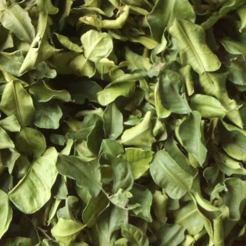 Product 100% Dried Lemon Leaves/ Dried Kaffir Lime Leaves From Vietnam ...