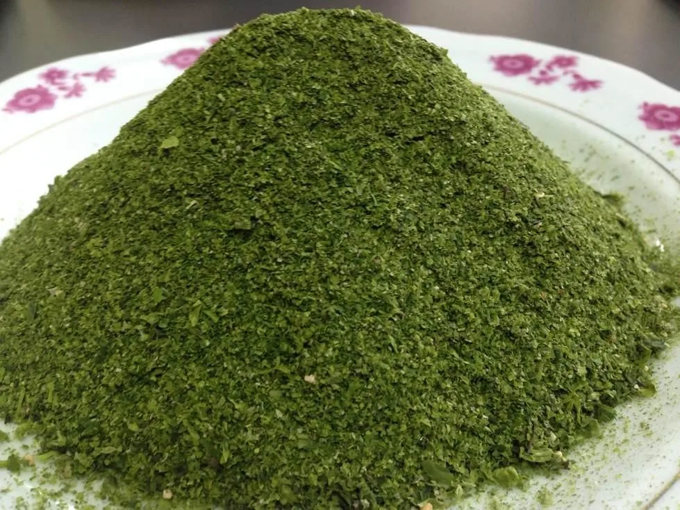 VIETNAMESE DRIED GREEN SEAWEED POWDER- ULVA LACTUCA SEAWEED WITH THE ...