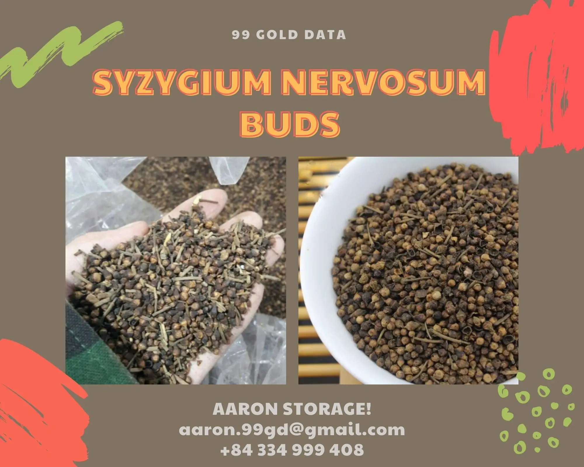 Syzygium Nervosum/ Cleistocalyx Operculatus Buds - Vietnamese Tea