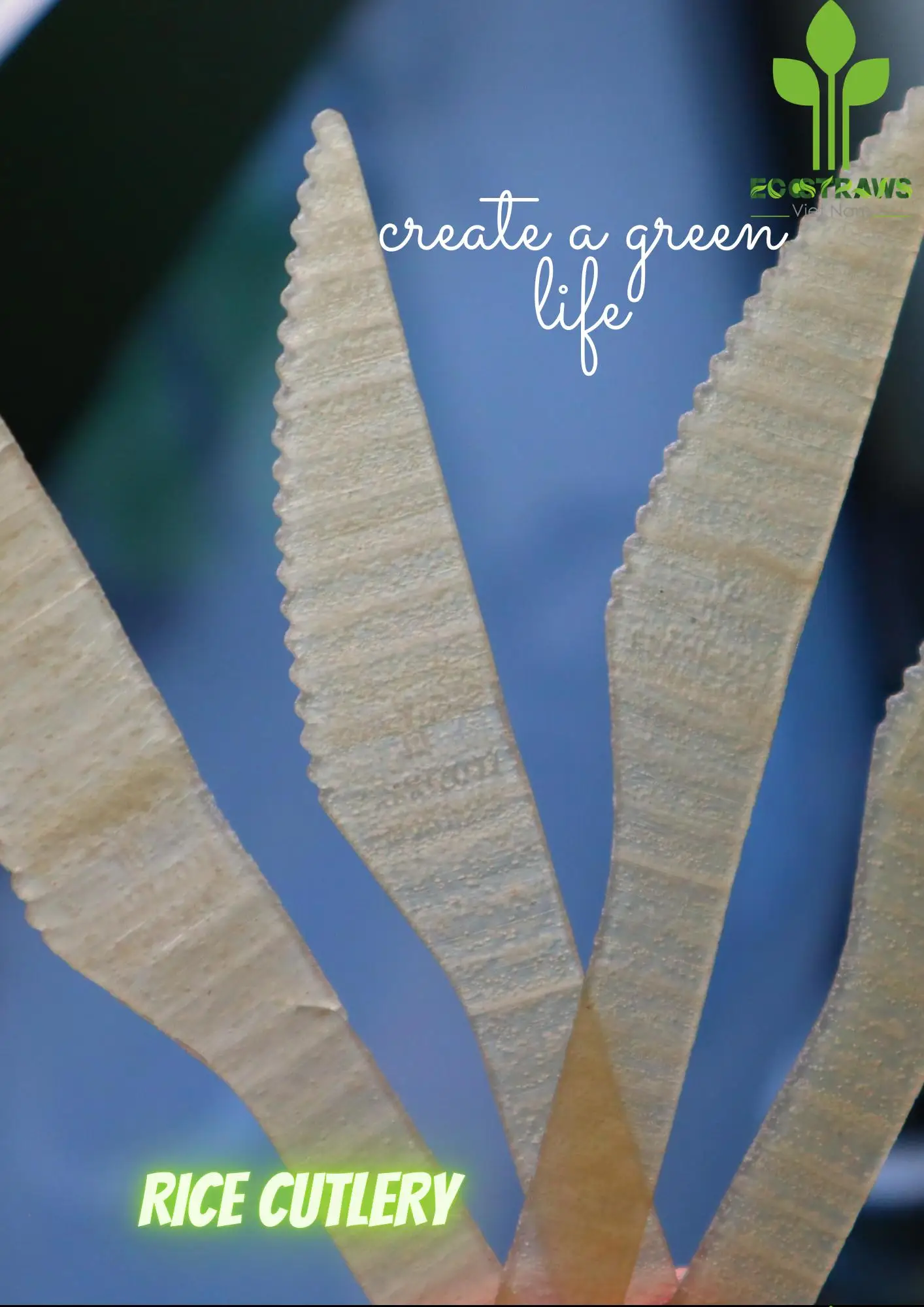 Best Price !!! 100% Biodegradable Rice Husk Free Cutlery Dinner ...