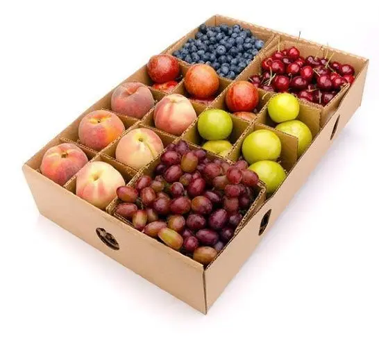 Corrugated Fruit Packaging Boxes - Durable & Customizable