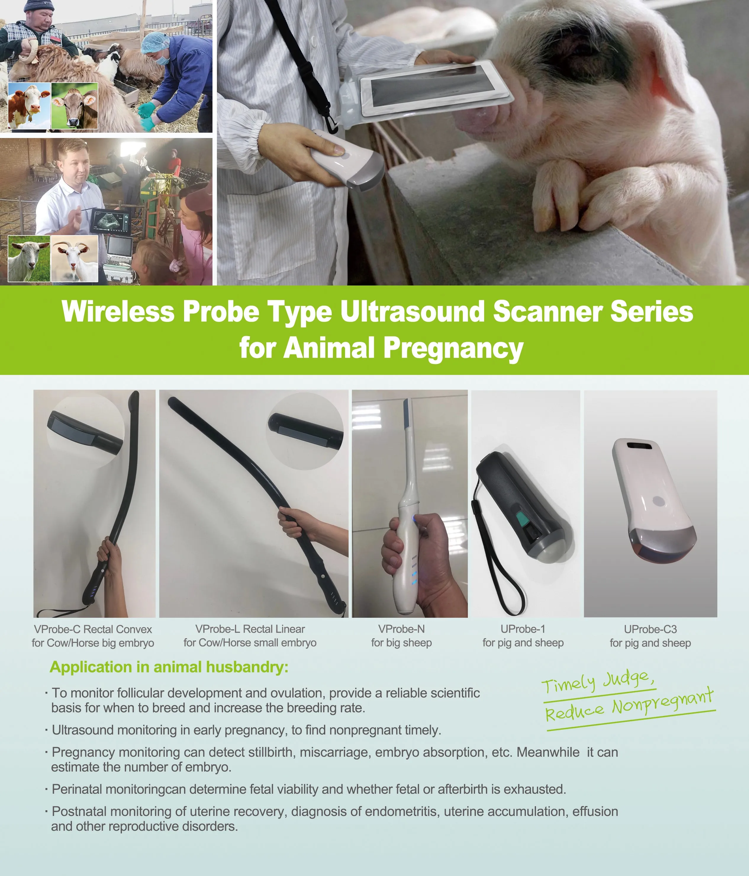 Vprobe Transrectal Series Wireless Probe Type Vet Ultrasound