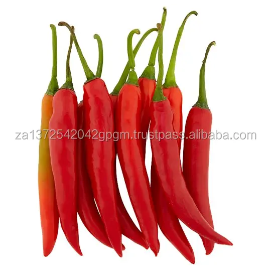 Red Dried Birds Eye Chilies For Sale - Buy Red Dried Birds Eye Chilies ...
