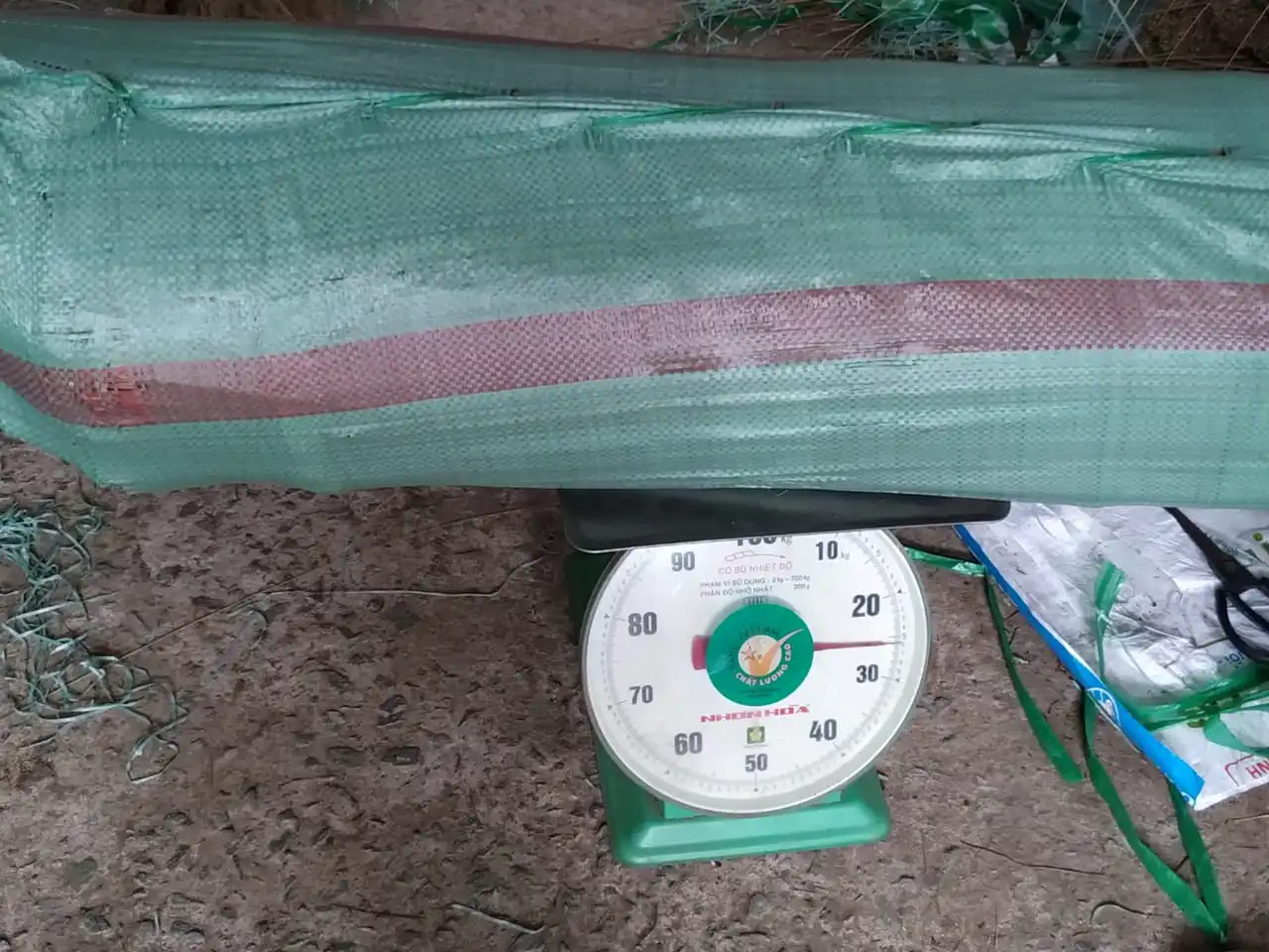 Palm Ekel Broomstick -coconut Leaf Stick For Cleaning Home- Coconut ...