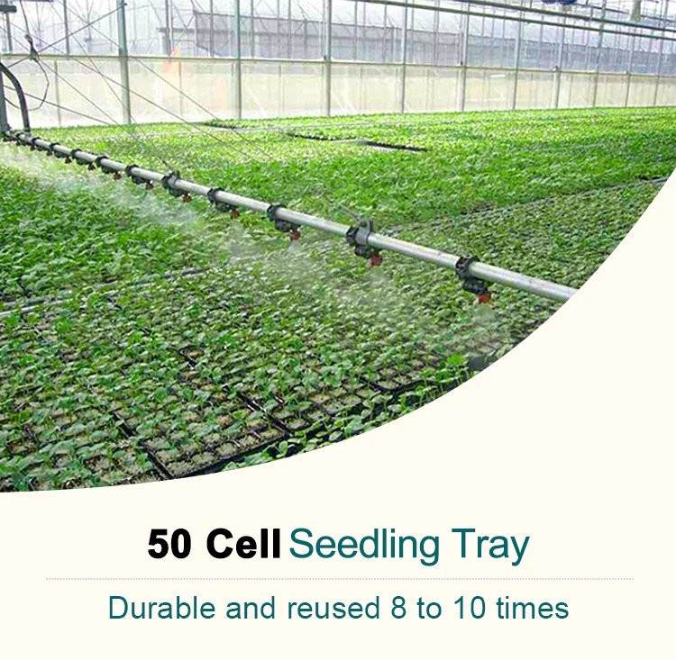 Rapid Rooter 50 Cell Plugs Tray for Seed Germination