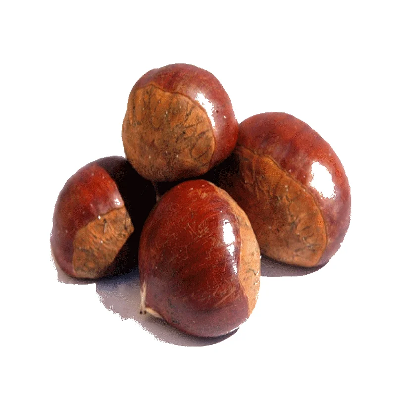 Organic Chestnuts - Roasted and Peeled for Sale