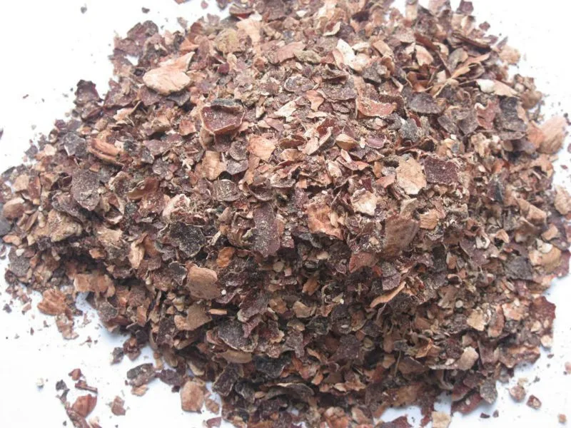 CASHEW NUT HUSK/CASHEW SHELL POWDER FROM VIETNAM - Helen +84374288086