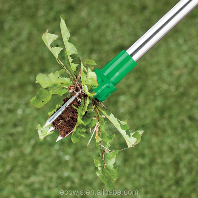 Efficient Weed Removal with Grabber Weed - Three Prong Tool