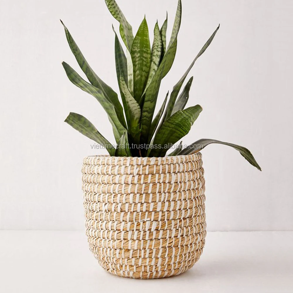 Natural Seagrass Planters - Stylish Home Decor Solutions