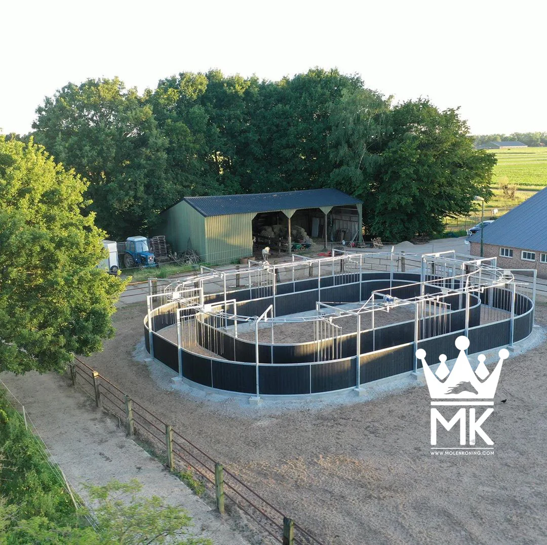 Rail-gliding Horse Walker Mk Molenkoning - Buy Rail-gliding Rail Walker ...