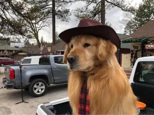 Очиститель воздушного фильтра двигателя 17801F4010 для Toyota Sequoia ...