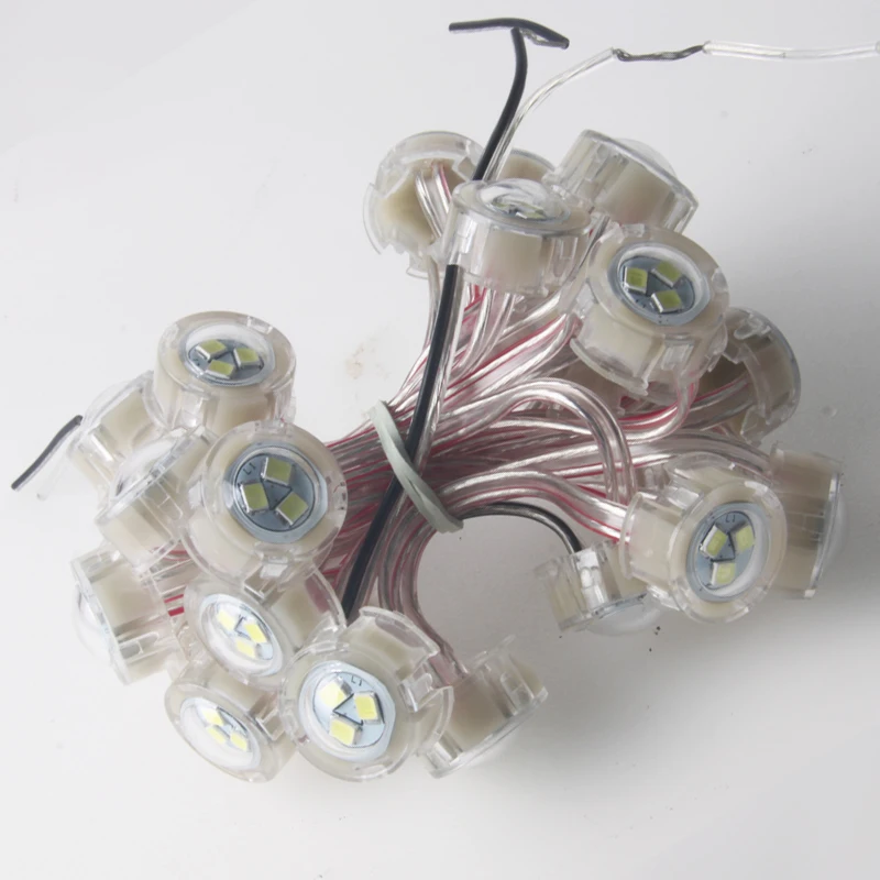 20mm Rgb Dmx Rgbw Led Pixel Module Amusement Point Light - Buy 20mm Rgb ...