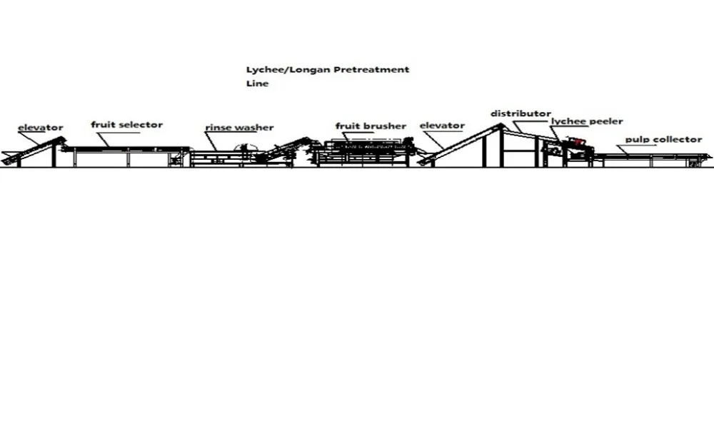 Leading Professional Lychee Fruit Peeling And Pitting Machine For ...