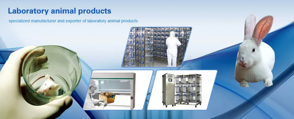 Acrylic Fixator for Mice - Restraint Device for Experiments