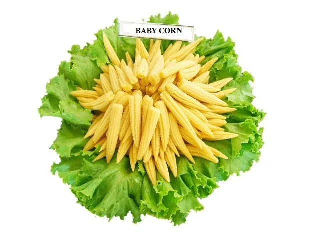 Frozen Baby Corn From Vietnam - Buy Frozen Baby Corn,Frozen Sweet Corn ...
