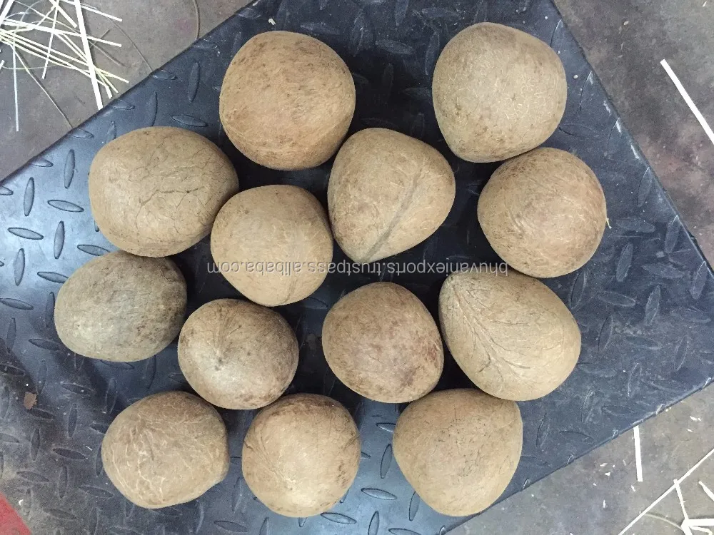 Dry Coconut Copra From India/ball Copra/half Cut Copra! - Buy Dry ...